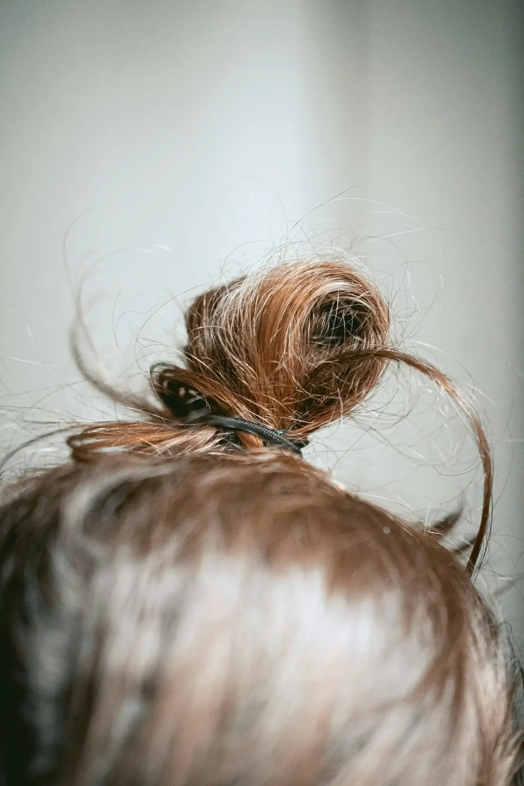 24 Hair Color Ideas for Curly Hair to Transform Your Look